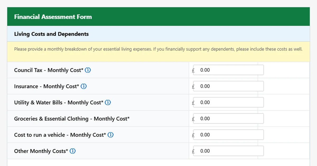 Financial Assessment Form - Excel Style | Claude